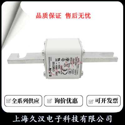 170M3166 170M3167 170M3168 170M3169 BUSSMANN 熔断器 保险丝