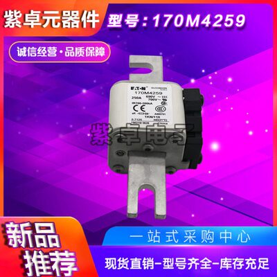 170M3120 170M3121 170M3122 170M3123伊顿巴斯曼快速熔断器 保险