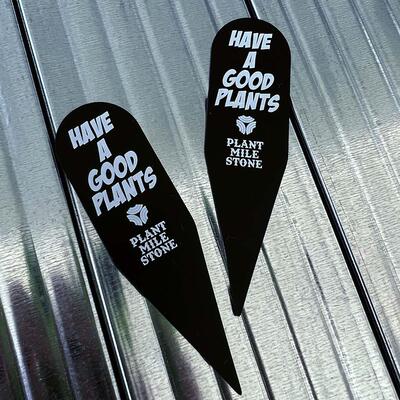 Milestone块根花盆植物标签标识地插龙舌兰象足漆树象芽宫盆景盆