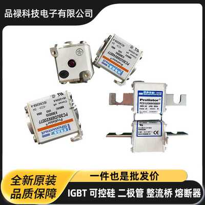 罗兰PC31UD69V550EF J300043 PC31UD69V630EF K300044 熔断器