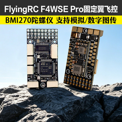 FlyingRCF4WSEPro05主
