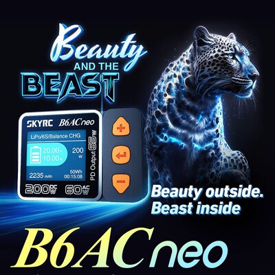 SkyRCB6ACneo智能平衡充