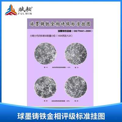 球墨铸铁金相评级标准挂图(GB/T9441-2009) 13张/套专业教学条形