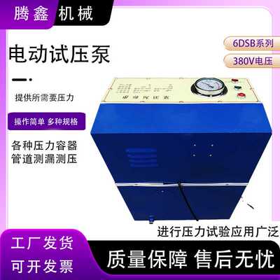 6DSB系列电动试压泵各种压力容器操作简单管道压力测试仪