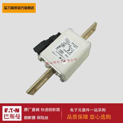 熔断器170M3539 170M3540 170M3541 170M4531 170M4532 170M4533