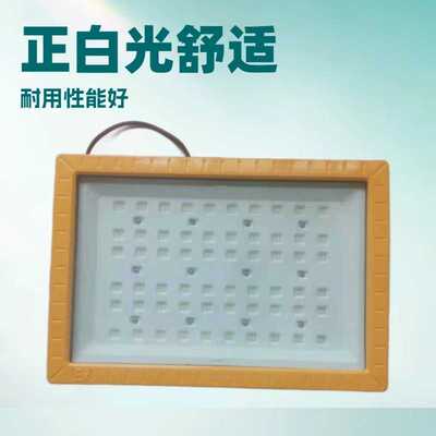 LED防爆投光灯NFTD8201-L150