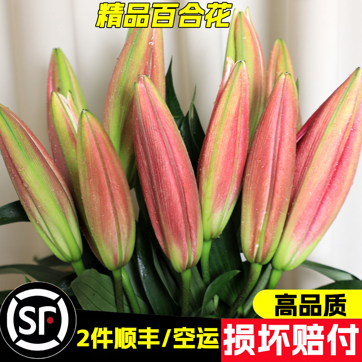 香水百合花鲜花云南基地直发新鲜花束水养玫瑰花向日葵鲜切花插花