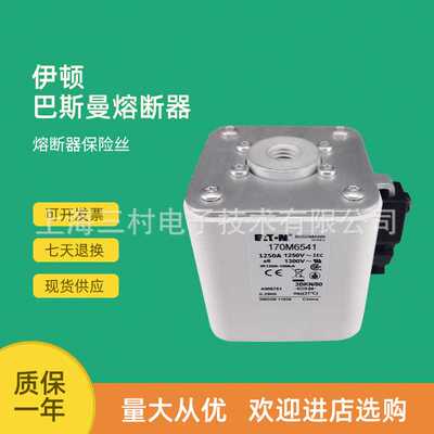 全新原装快速熔断器保险丝170M6545 170M6546 170M6547 170M6548