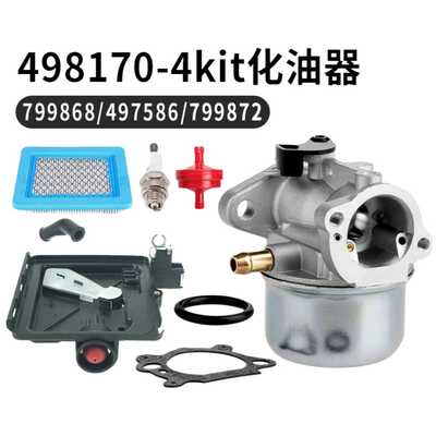 799868 498170化油器 for BS 799872 694202 497586 Carburetor