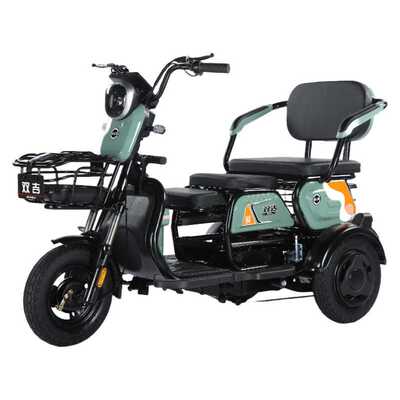 48V 60V 600W 电动三轮车 Steel Frame electric tricycle