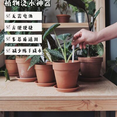 花信水分计SUSTEE土壤水分计植物水份计湿度计检测仪养花懒人浇水