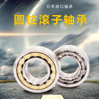 进口NSK圆柱滚子轴承 NU203 204 205 206 207 208 209 EW EM