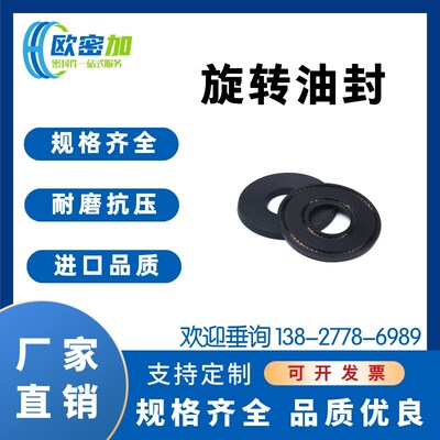 螺杆泵密封圈ACE泵旋转泛塞封PTFE四氟碳纤ACE025N3NTBP二次密封