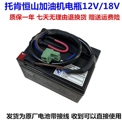 原装恒山加油机电池 中石化中石油用电池 托肯恒山加油机电池电瓶