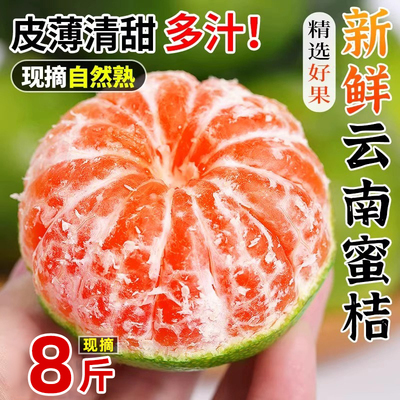 云南蜜桔新鲜橘子当季水果无籽青皮蜜桔柑橘小青绿皮桔子整箱包邮