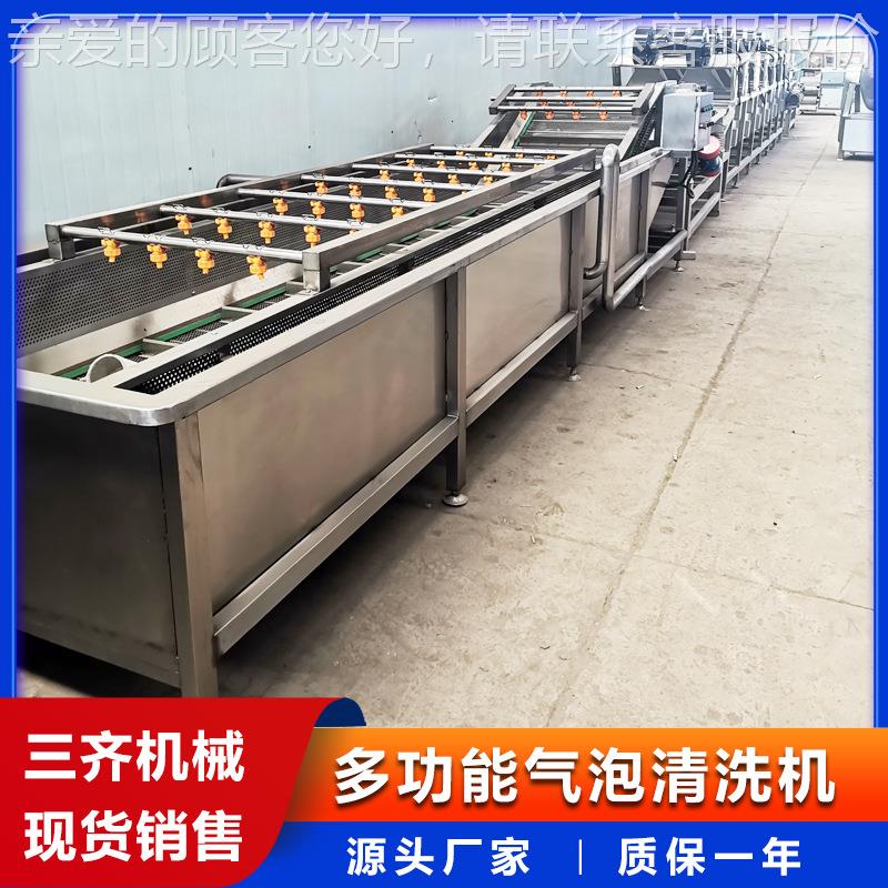 连续式CBR花椒气泡清洗机 胡萝菜卜豆芽清蔬菜清洗 洋葱丁净洗机