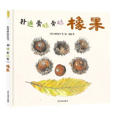 麦田精选图画书 扑通 骨碌骨碌 橡果