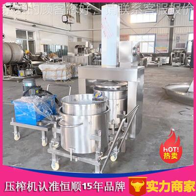 水果鲜榨刺梨果汁取压榨机酒 发酵过糯米滤机 桑葚提泡酒HZD固液