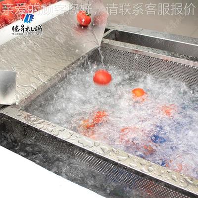 豆土芋头卜红薯果清洗生产线 果蔬毛萝辊清洗蔬生产线 VQD腾昇加