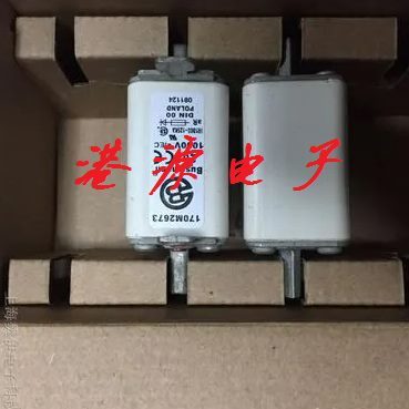熔断器 170M3497 170L8429 170M5534 170M6557 170M4181 170M8639
