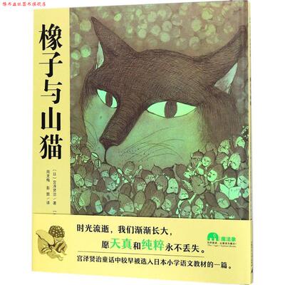 【正版书】 魔法象·图画书王国:橡子与山猫 ：日宫泽贤治著[日]高野玲子绘译者：周龙梅彭懿 广西师范大学出版社
