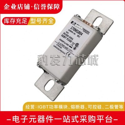 170M1760/1761/1762/1770/1771/1772/1773/1774/1775-1781熔断器