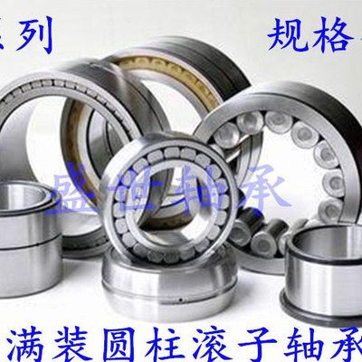 满装圆柱滚子轴承LSL192322 内径110外径240厚度80mm