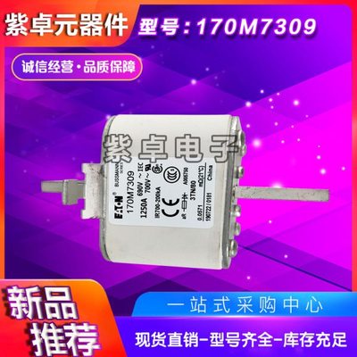 伊顿巴斯曼熔断器170M7802 170M7803 170M7804 保险丝 断路器