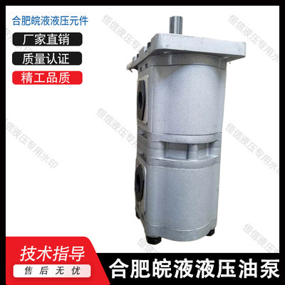 合肥皖液齿轮泵CBG2040/