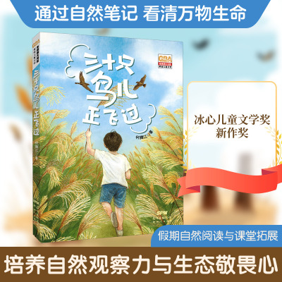 三十只鸟儿正飞过 广东新世纪出版社 何腾江 著 儿童文学