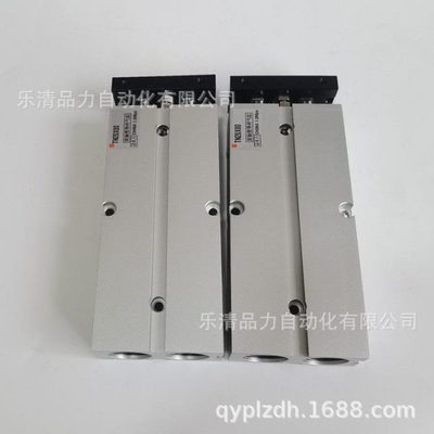双轴气缸TN10XTN16X50/60/75X80X90X100X125X150x175-200*225-S-H