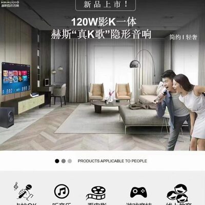 赫斯隐形音响隐形式会议室客厅背景音乐音响隐于无形背景音乐喇叭