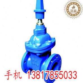 RVCX埋地式弹性座封闸阀地下管网弹性座封闸阀 套筒闸阀