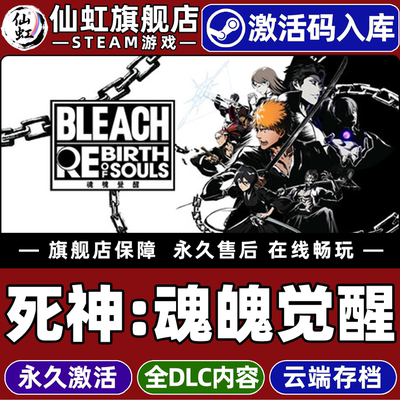 死神魂魄觉醒全球区激活入库游戏