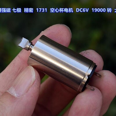 钕铁硼高强磁 1731 精密 空心杯电机 七极转子 DC6V 19000 转