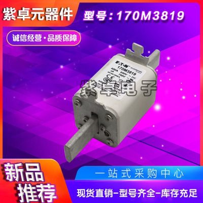 170M3926 170M3927 170M3928 170M3929 170M3930 170M3931熔断器