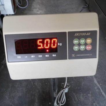 上海耀华XK3190 A6电子秤称重控制器电子台秤仪表电子地磅显示器