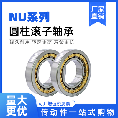 精密圆柱滚子轴承NU204/205/206/207/208/209/210/211/212/213 EM
