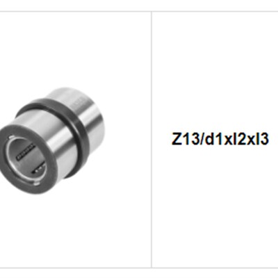 供应HASCO标准直线滚珠套Z13/12 Z13/18 Z13/24 Z13/30中托司导套