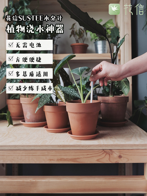花信水分计SUSTEE土s壤水分计植物水份计湿度计检测仪养花懒人浇