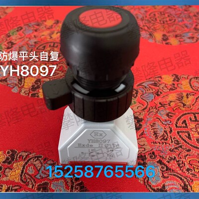 YH8097防爆双键控制按钮Ex红绿双色 防爆按钮开关 YH8097