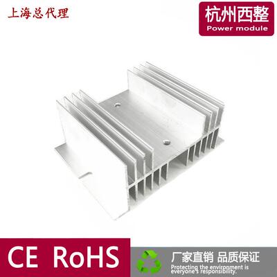 可控硅模块整流桥防反二