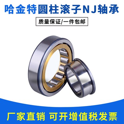 哈金特圆柱滚子轴承NJ203 NJ204 NJ205 NJ206 NJ207 NJ208 EM