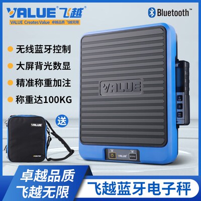正品飞越冷媒电子秤雪种液定量加注称VES-50A/50B/100A飞跃加氟称