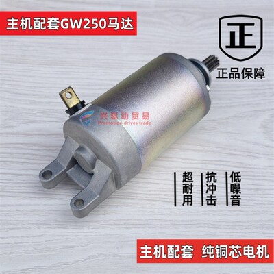 适配GW250 AN250DL250 GSX250R大R小R骊驰摩托车启动电机起动马达