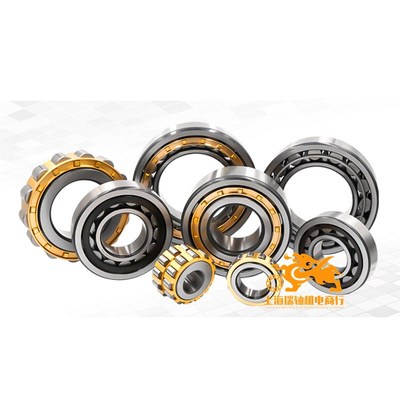 原装进口轴承NUP211 212 213 214 215 216 217-E-XL-TVP2/M1C3