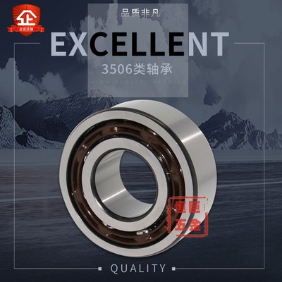 双列角接触轴承 LR5305 LR5306 LR5307 LR5308 LR5309 NPPU KDDU