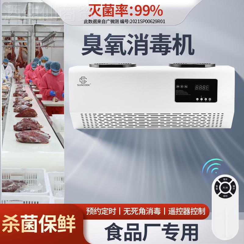 壁式臭氧厂发生臭器FL-10HLJ垃圾房除空挂气净化食品车间臭氧消毒