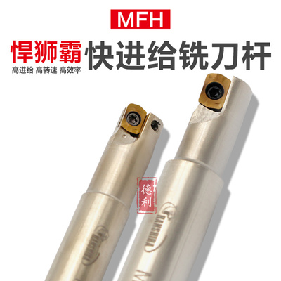 悍狮霸小径快进给铣刀杆MFH加工中心铣刀杆LPGT010210ER铣刀片