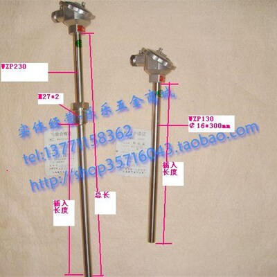 客户订货WZPK2-336A PT100 &Phi;8x150